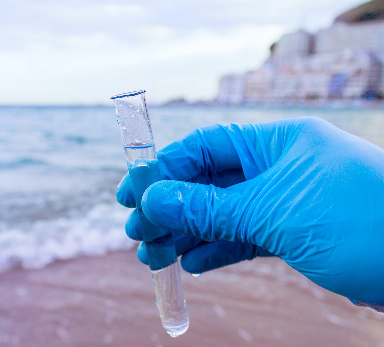 Biosynthesis of Colibactin and the Mechanism of Inducing DNA Damage ...