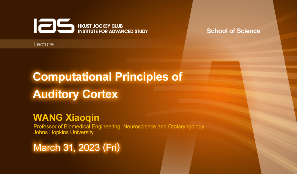 Ias School Of Science Joint Lecture Computational Principles Of Auditory Cortex School Of