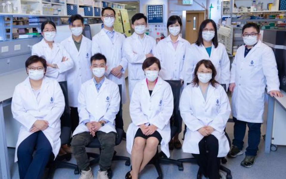 HKUST Scientists Identify an Innovative Strategy Targeting a Blood ...
