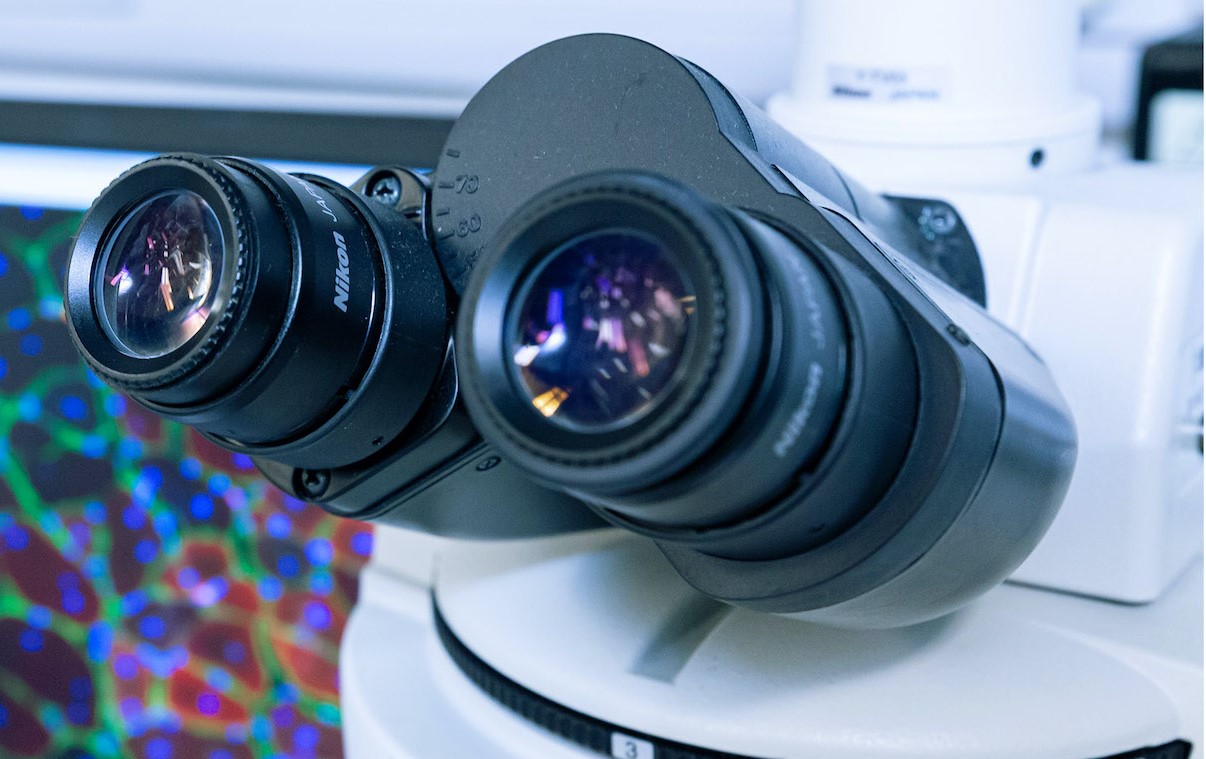 HKUST Establishes Laboratory on Big Data for Bio Intelligence | School ...