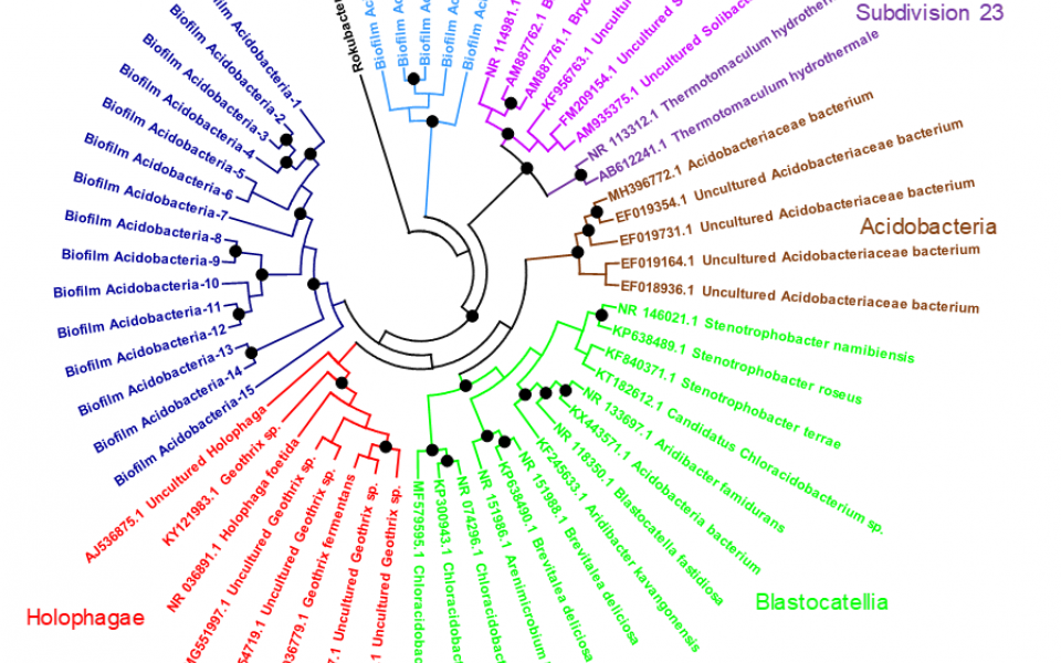 HKUST Researchers Discover More Than 7,000 New Microbial Species ...