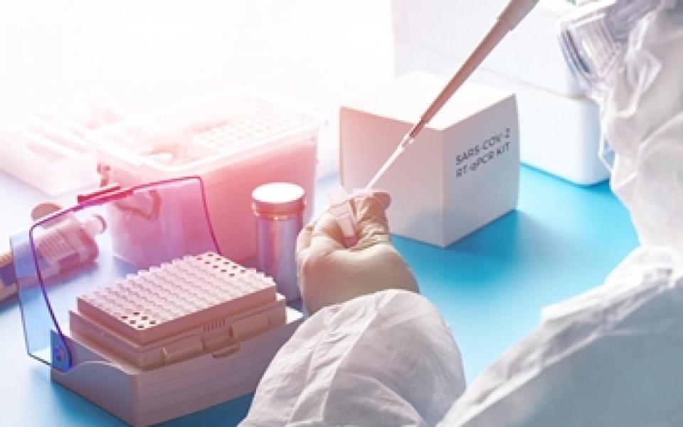 The Science behind COVID-19 Testing | School of Science - The Hong Kong ...